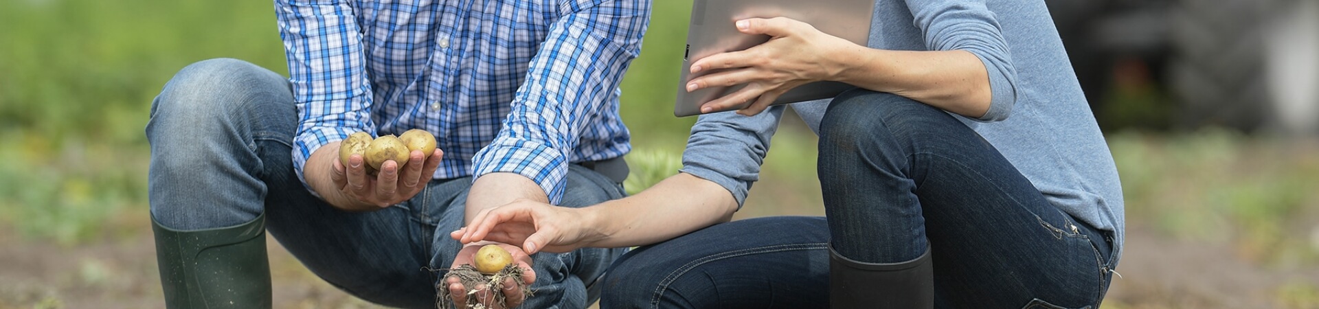 FAQ's - Sentek Technologies