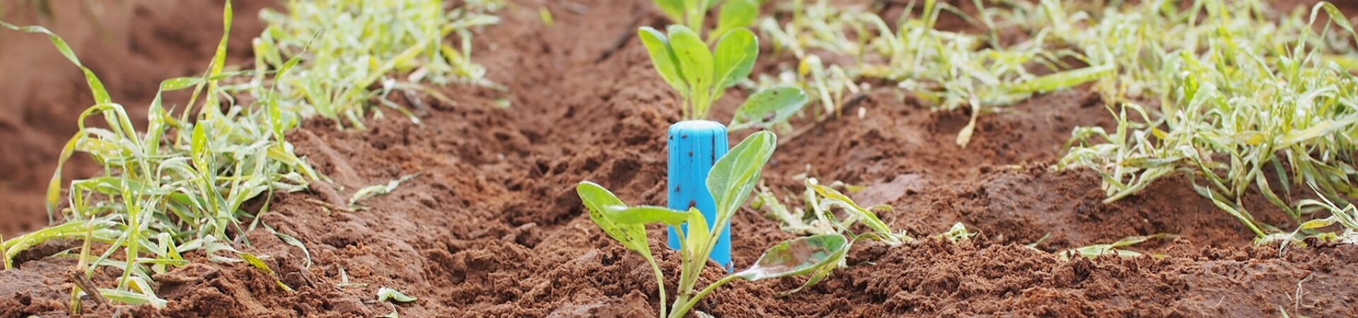 Soil Data Probes - Sentek Technologies