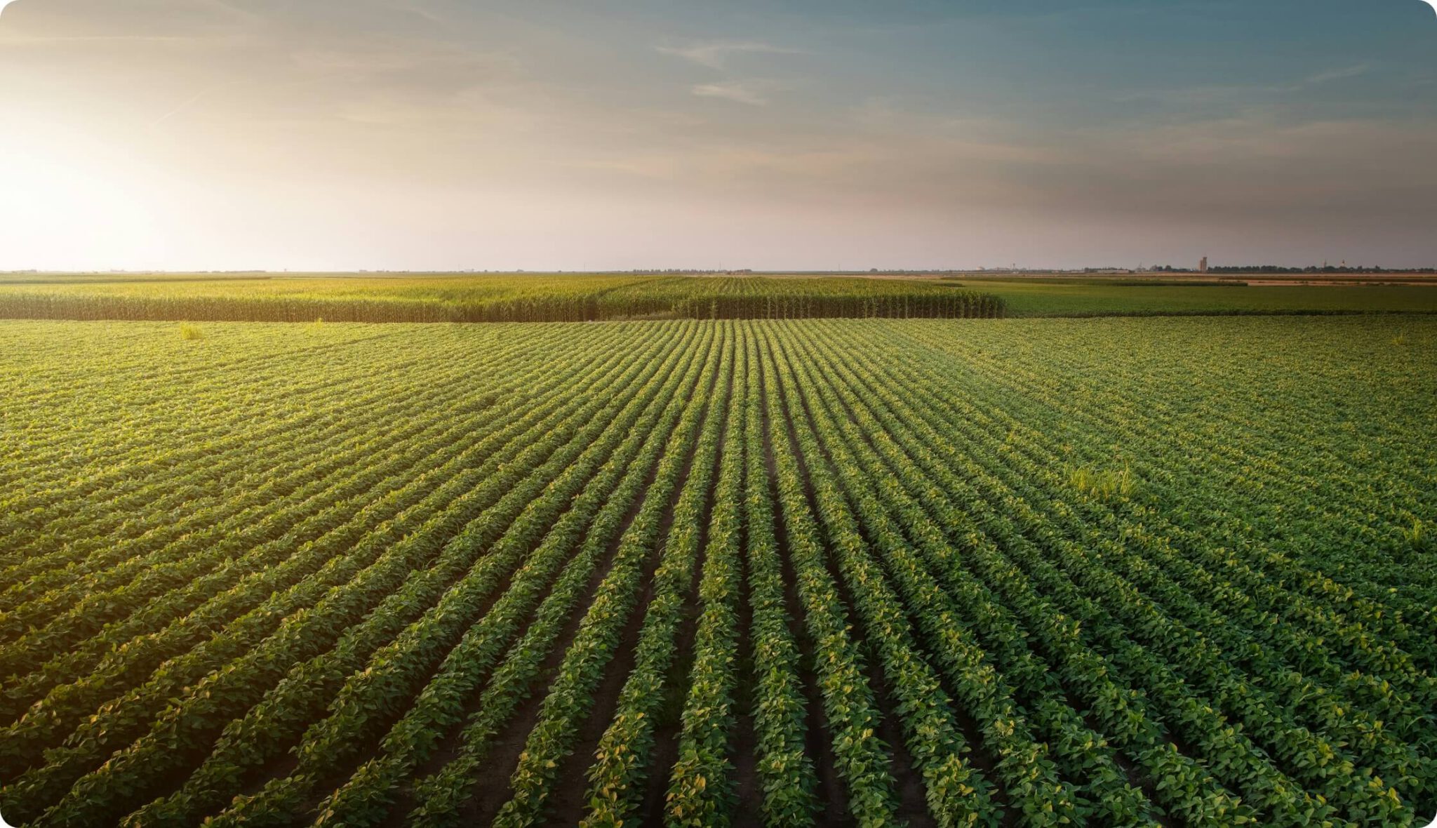 Soil Data Probes - Sentek Technologies